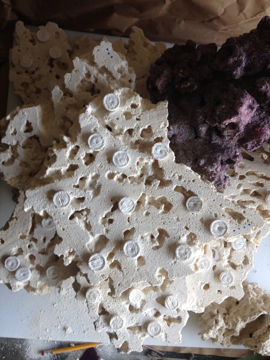 Working with Stax rock and frag plugs | Reef2Reef