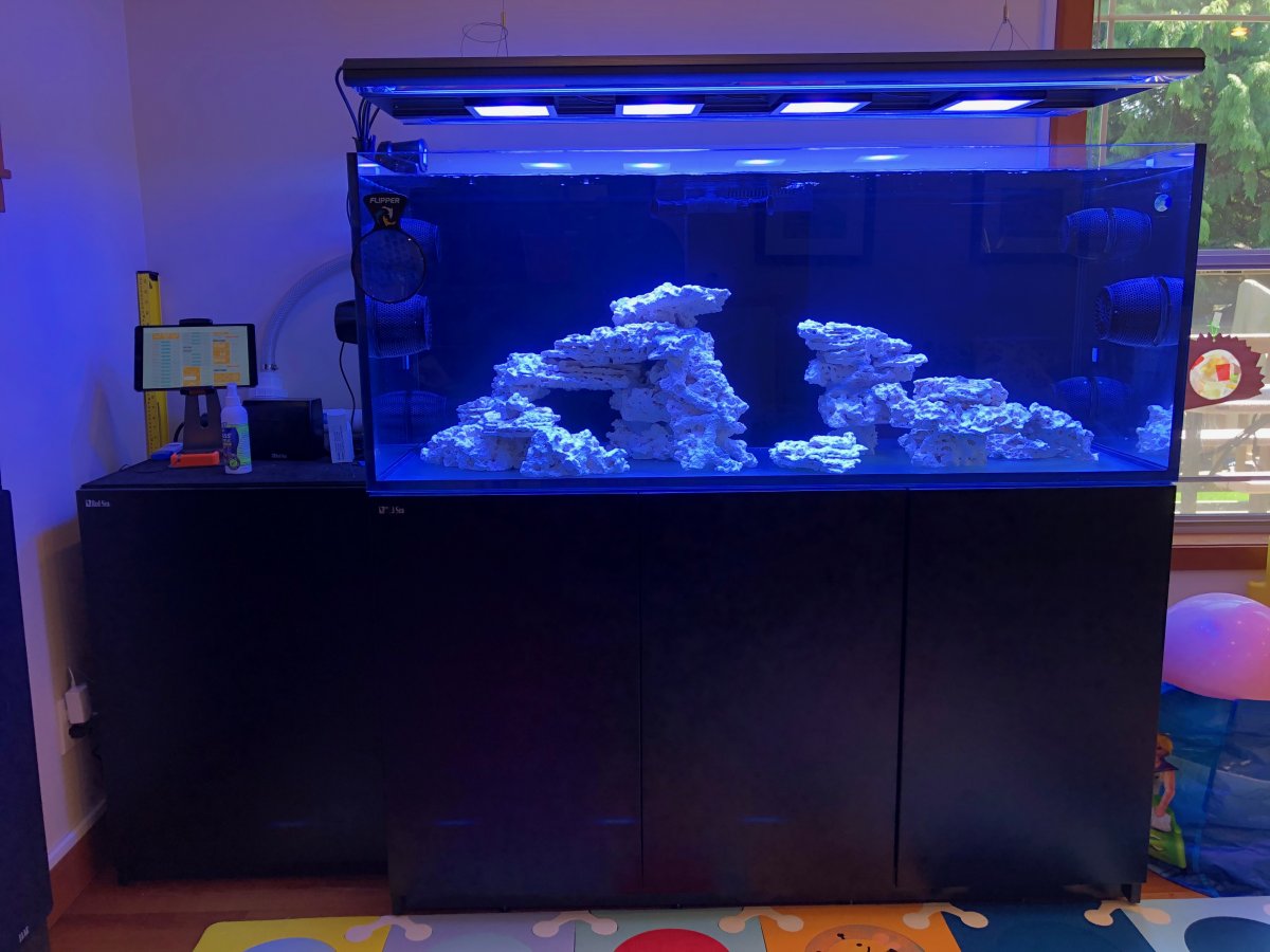 Build Thread - Red Sea Reefer XXL 625 | Page 3 | Reef2Reef