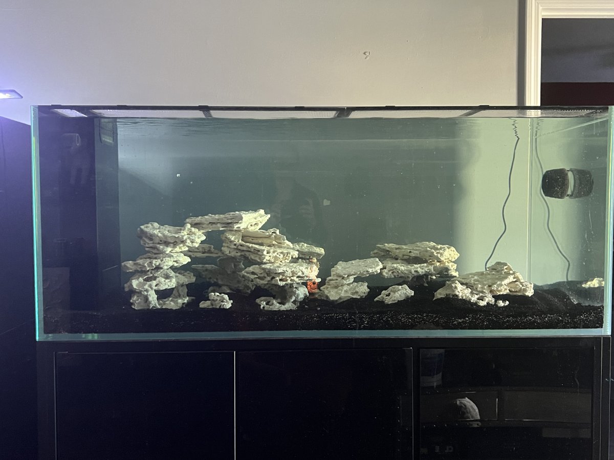 Build Thread - New 210g FOWLR (part of a 2 tank mirror build) | Reef2Reef