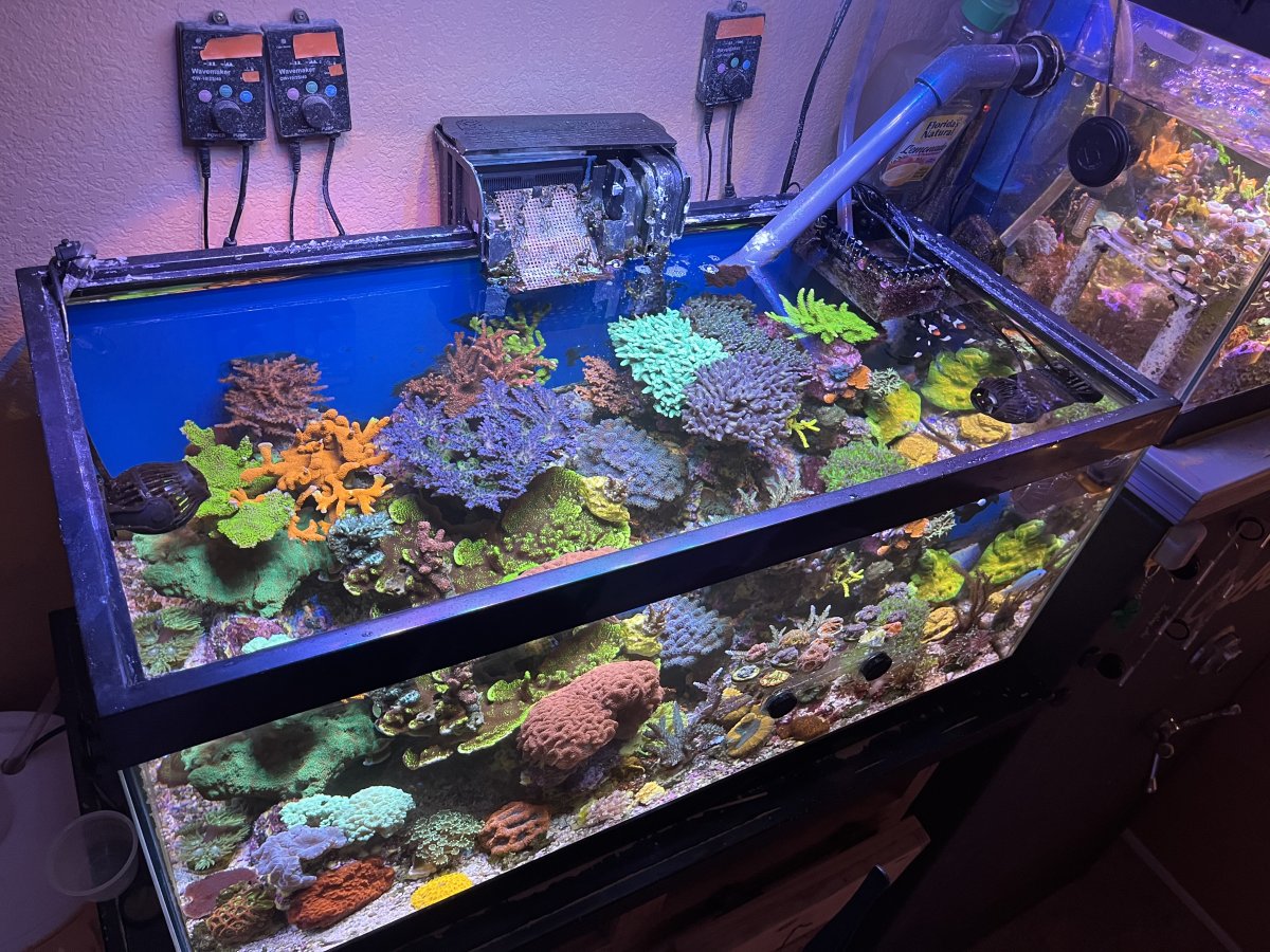 Bored today and made an turf Algae scrubber | Reef2Reef