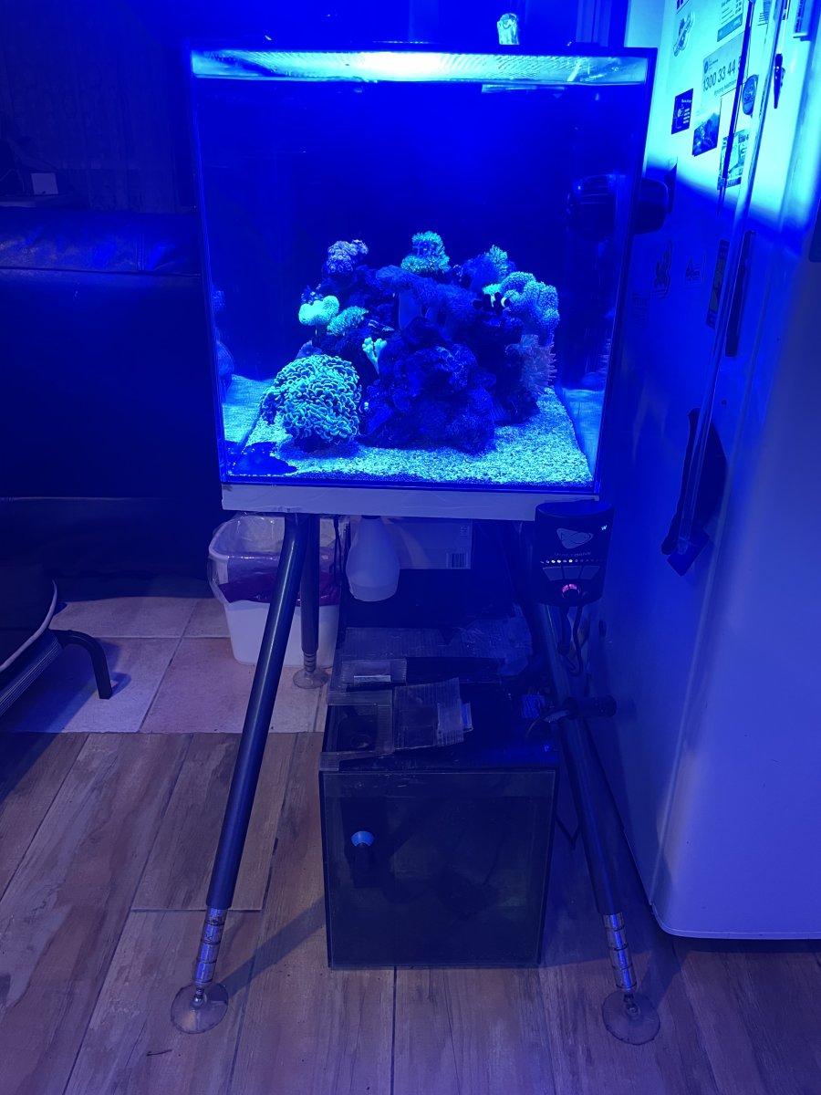 My Waterbox 25 Peninsula DIY Custom system | Reef2Reef