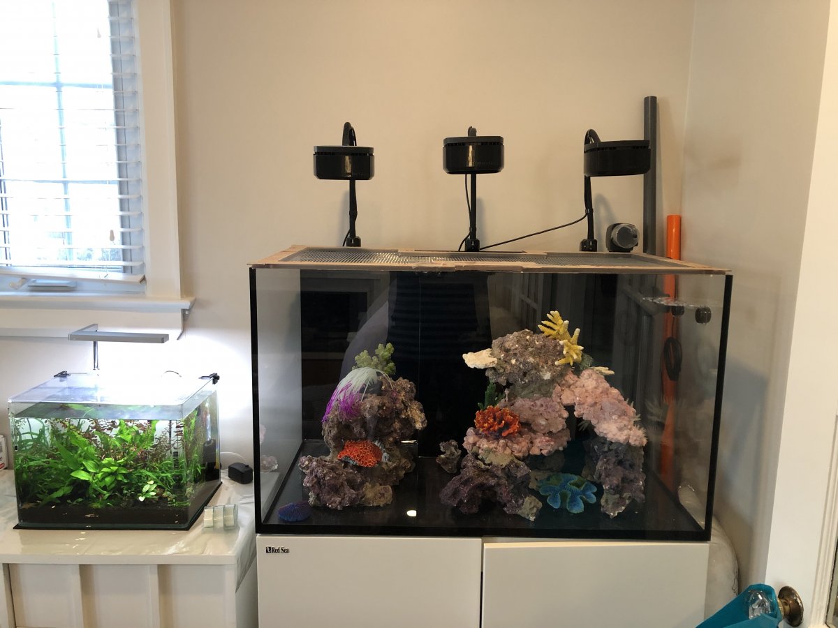 Hood design for a rimless tank | Reef2Reef