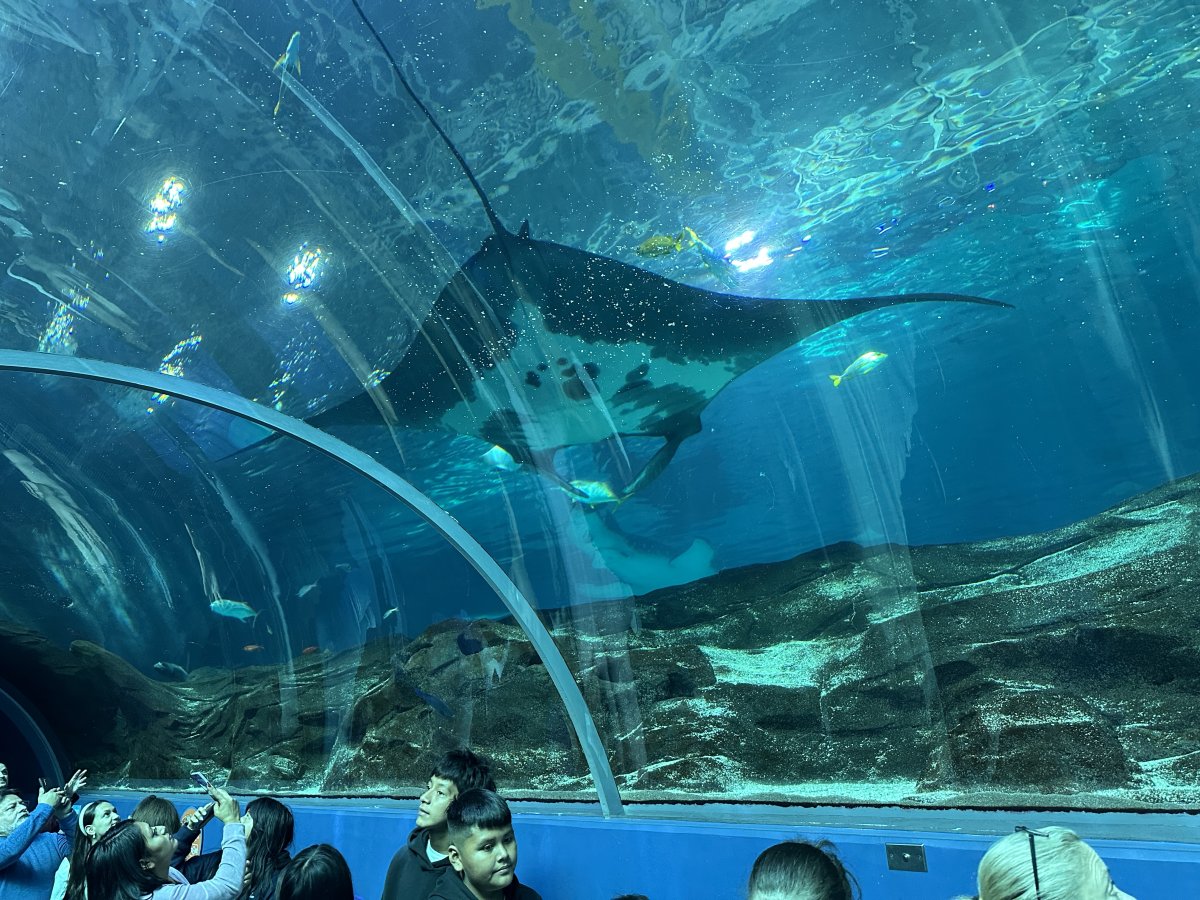 Georgia aquarium , behind the scenes equipment | Reef2Reef