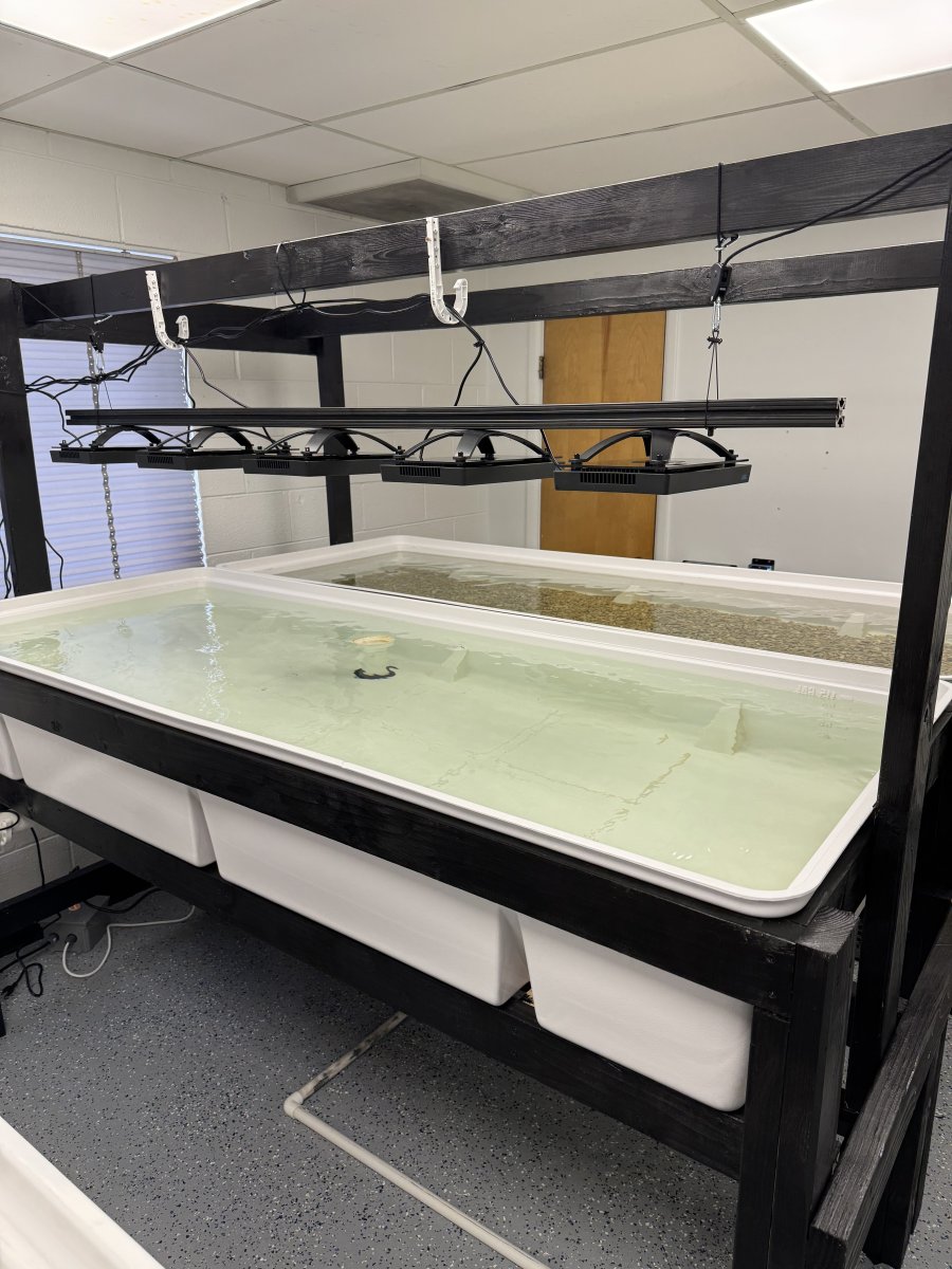 Frag Build - 500 Gallons Frag System! Control Test on Metal Halide, T5 ...