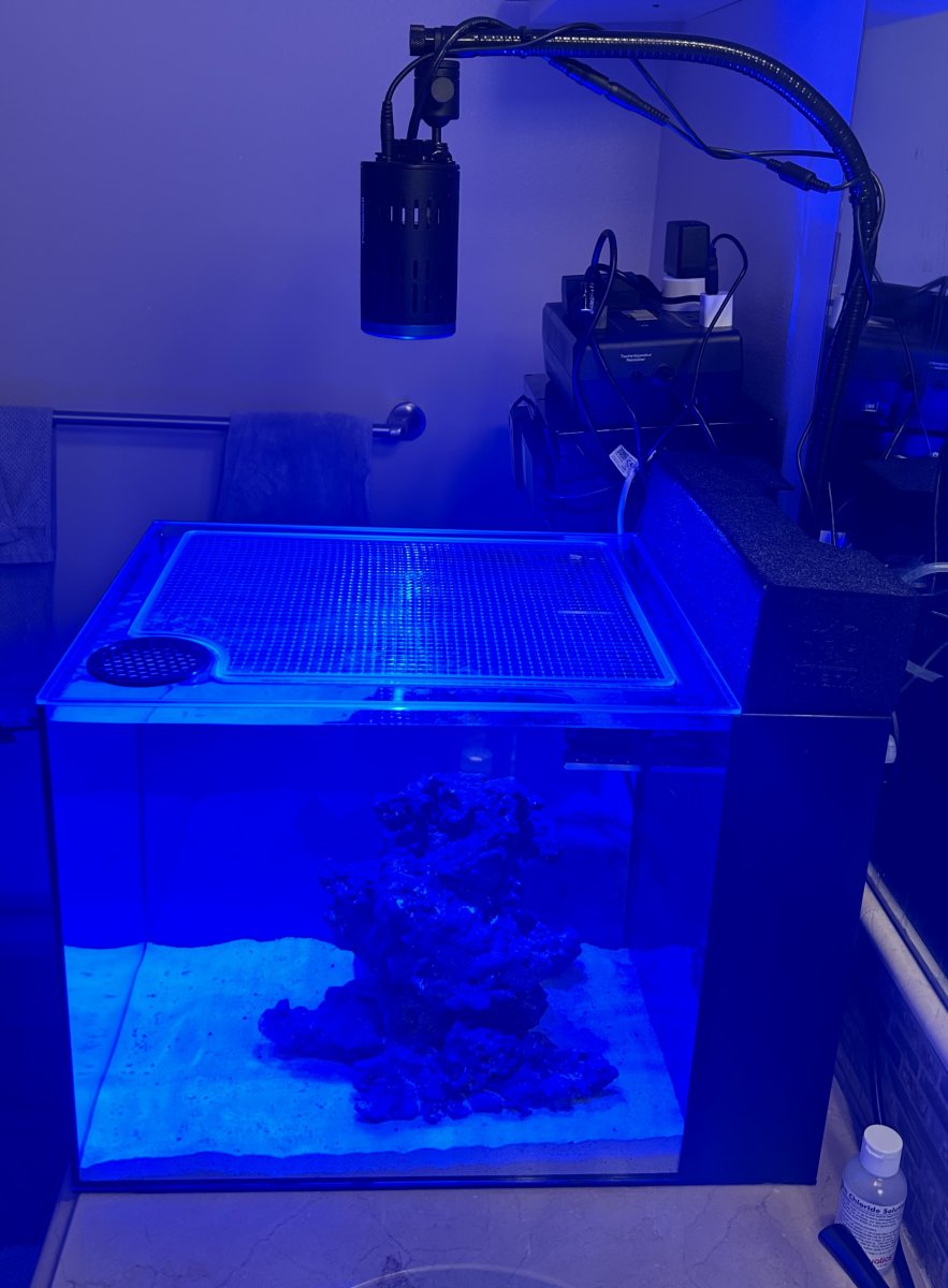 Waterbox AIO 15 Set Up - Beginner | Reef2Reef