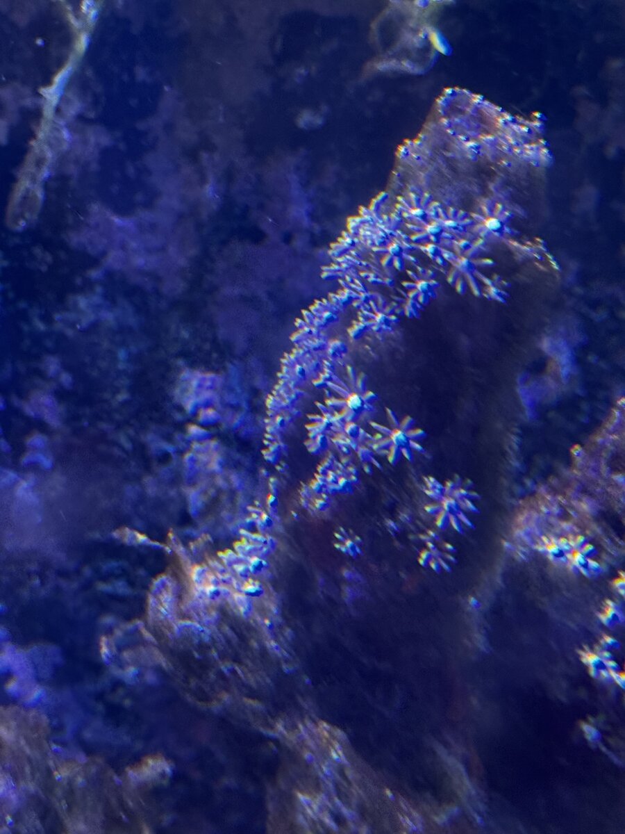 Recovering a tank disaster | Reef2Reef