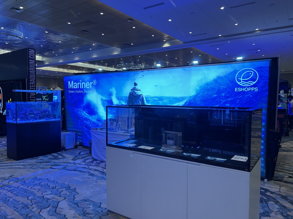NEW MARINER Models Reveal! | Reef2Reef