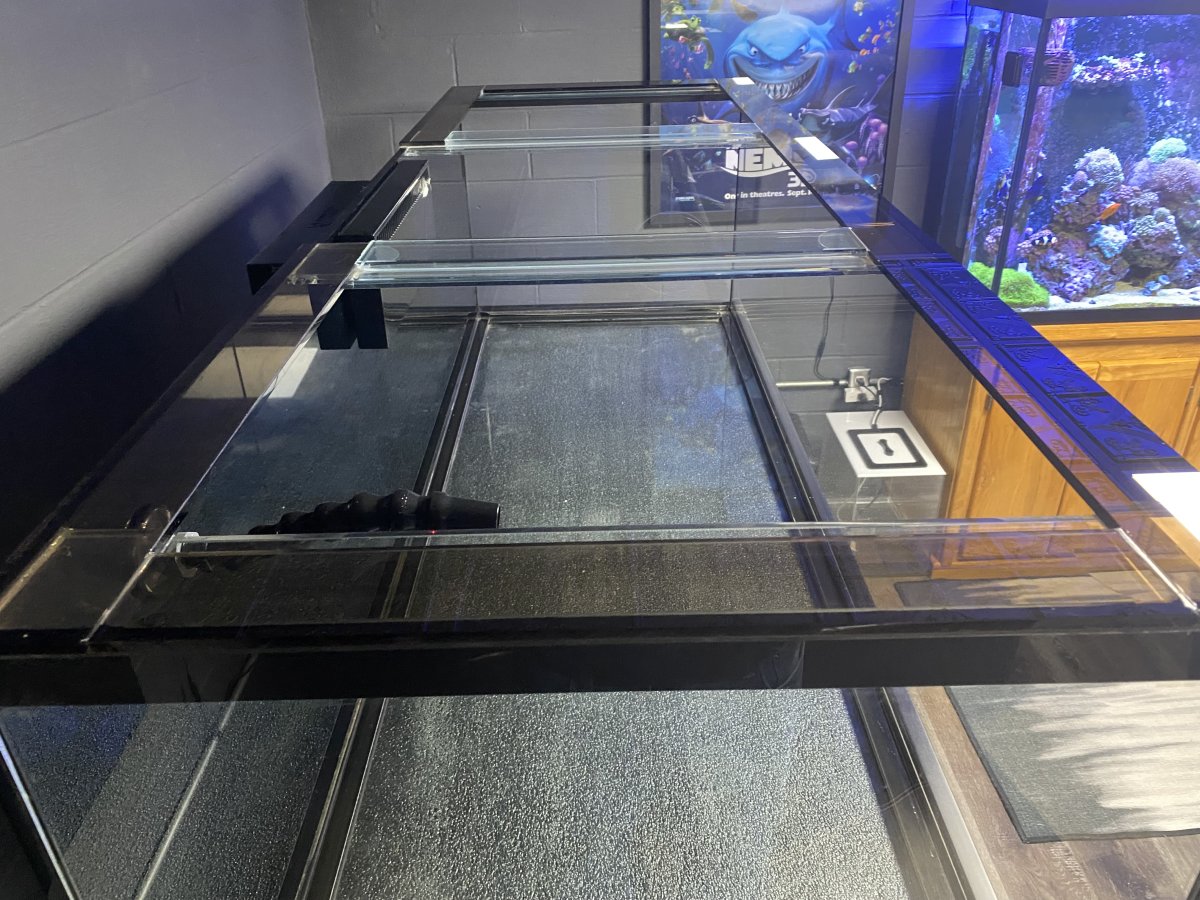 Build Thread - Glass Cages 180 & 165 dual tank build | Reef2Reef