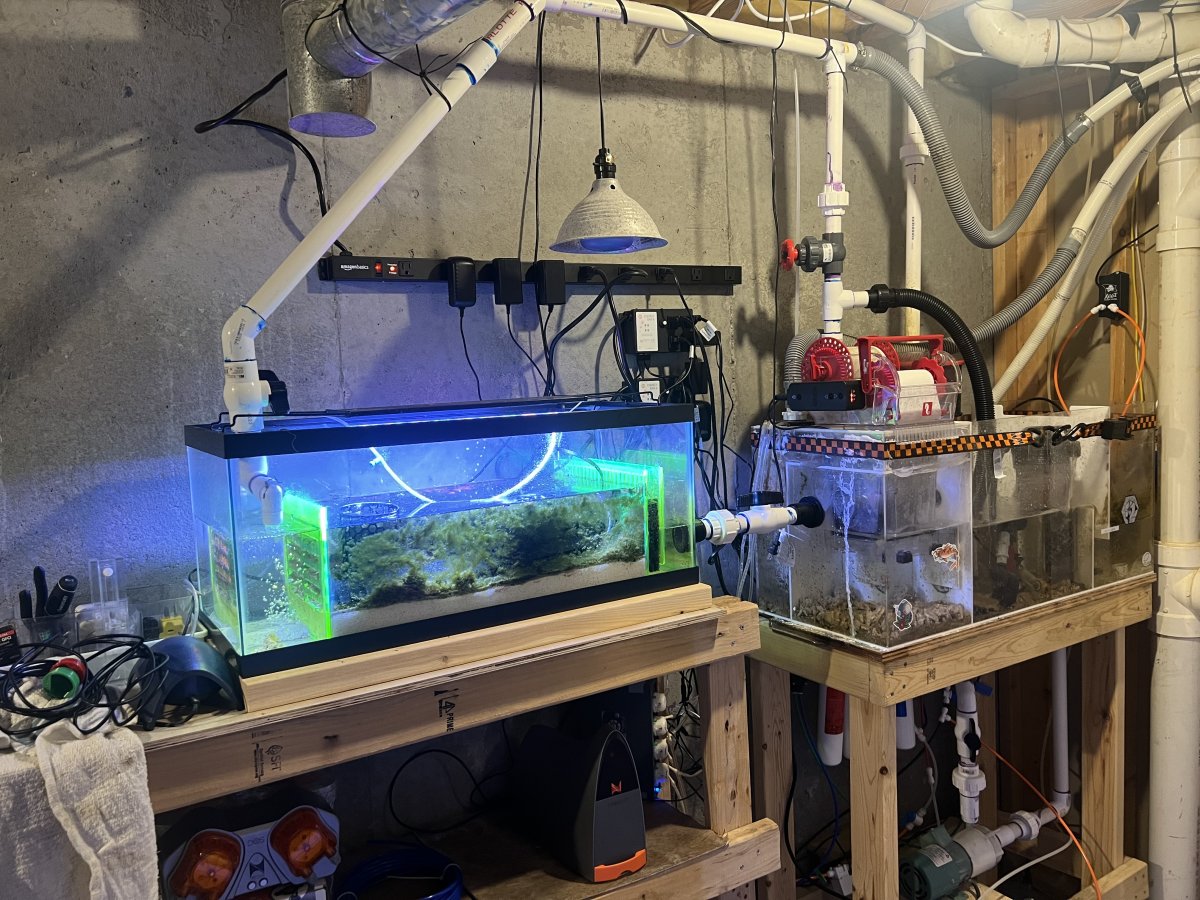 Time for a mini-fridge? | Reef2Reef