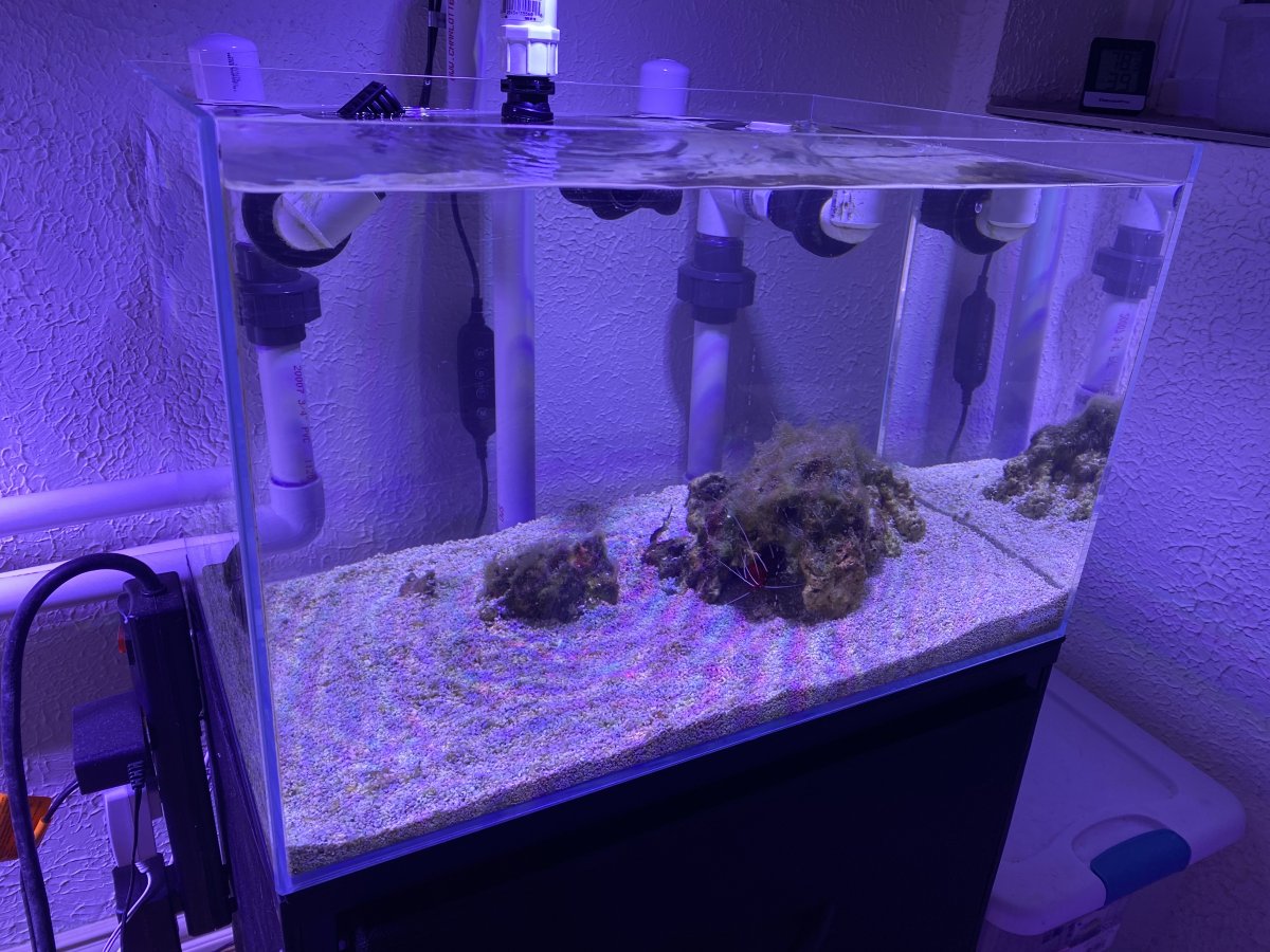 Build Thread - Mangle lagoon | Reef2Reef