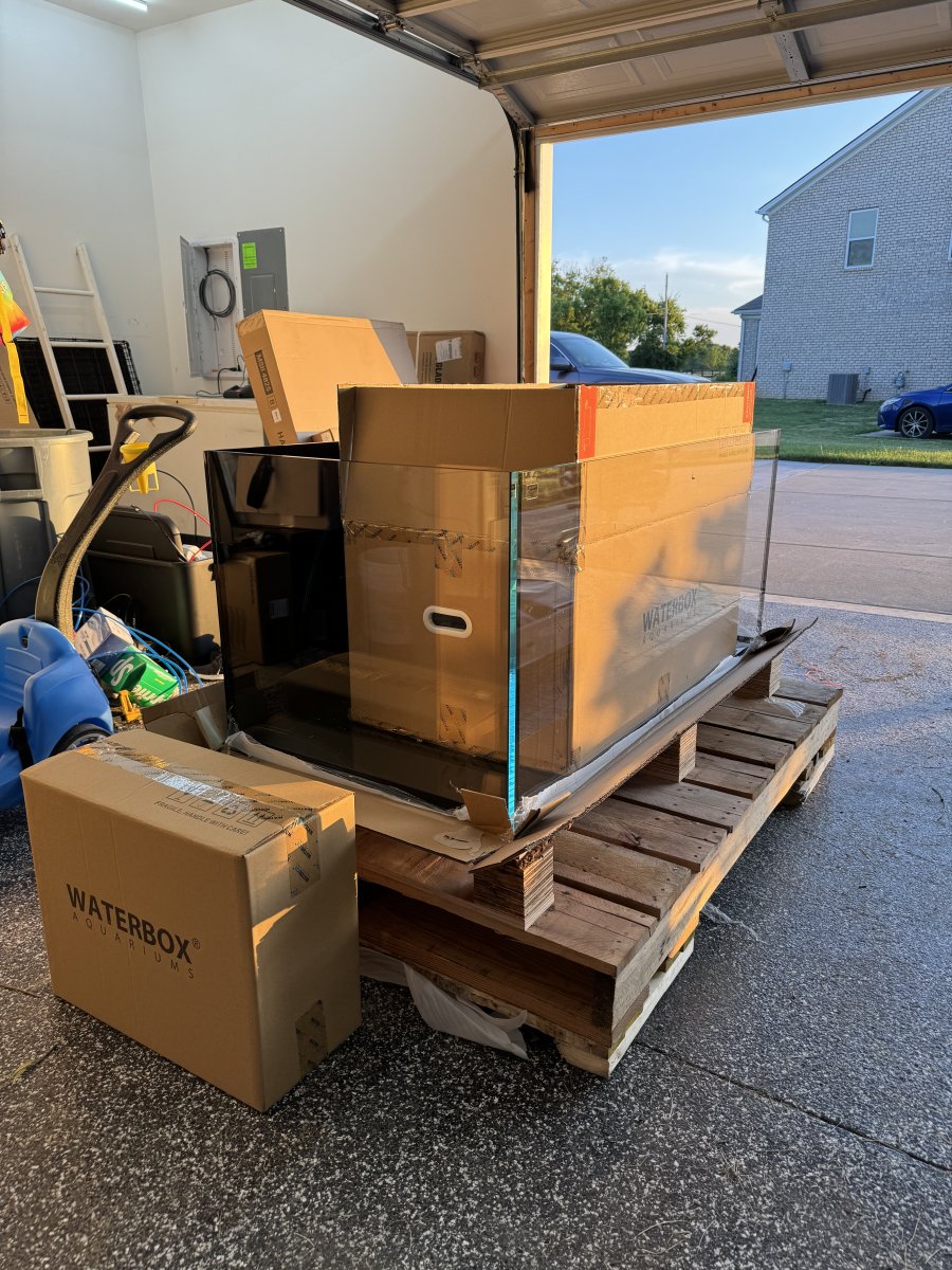 Build Thread - Journey Into Reefing - Waterbox Infinia Reef 150.4 ...