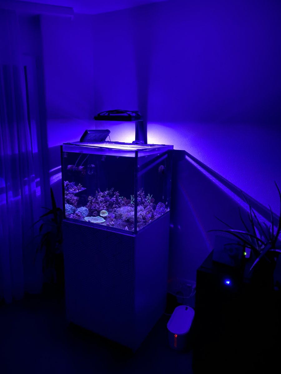 Build Thread - Swiss Red Sea Reefer 200XL Reef | Page 2 | Reef2Reef