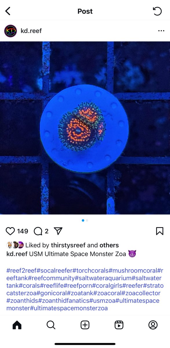 Live Goods - High end zoas (Ultimate Space Monster, LSOH, Godbeast ...