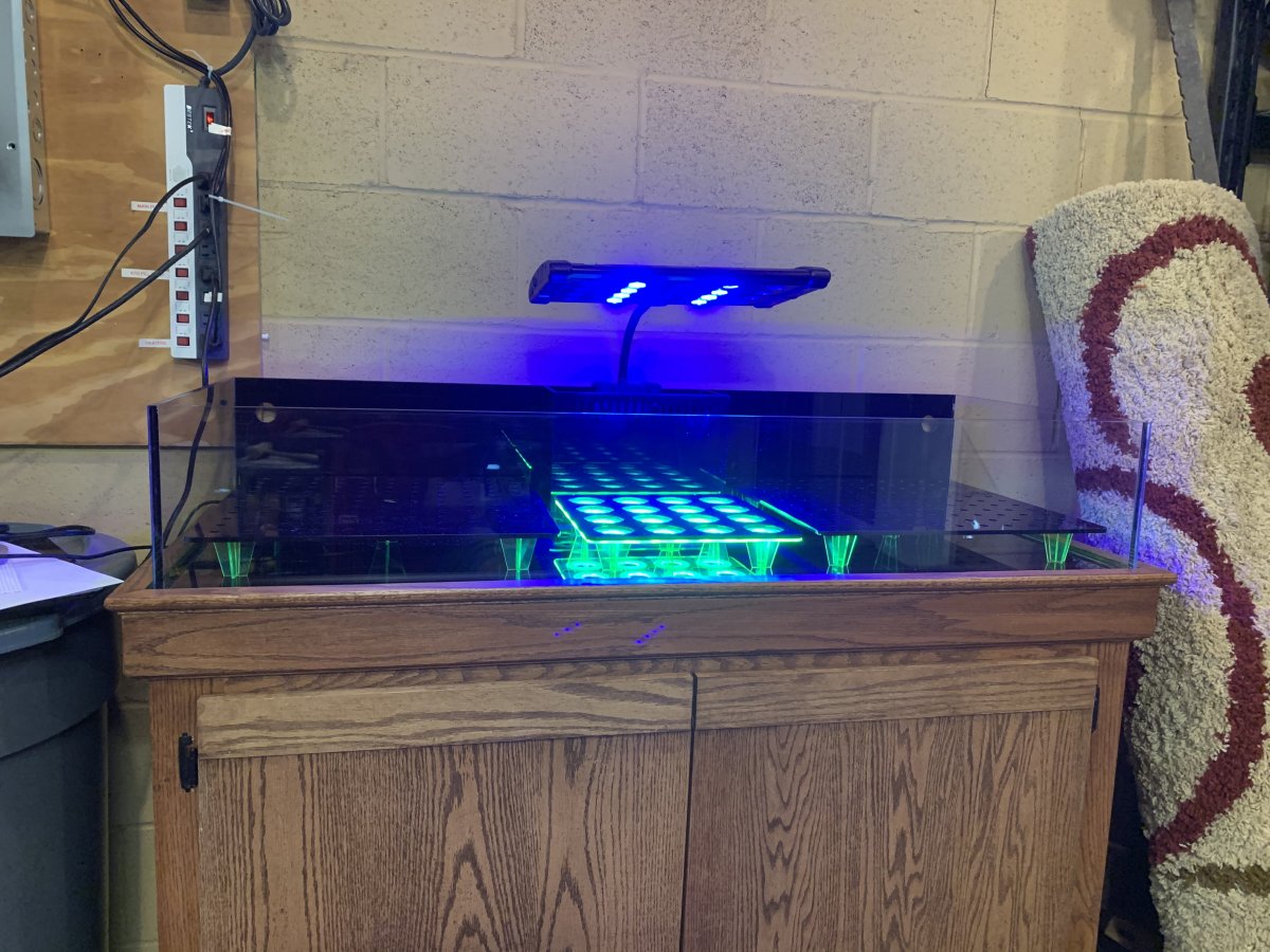Pennsylvania - Frag Tank Set Up | Reef2Reef