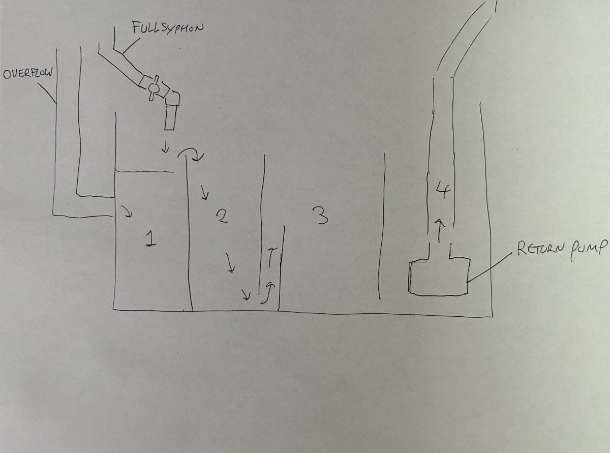 New to saltwater, sump design help | Reef2Reef