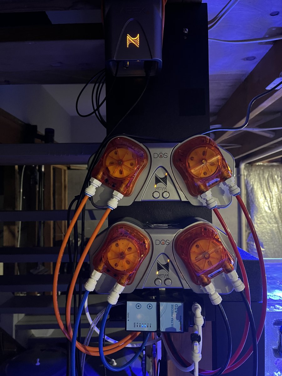 New York - Dosing - Dry Goods - 2X NEPTUNE DOS + EXTRAS! | Reef2Reef