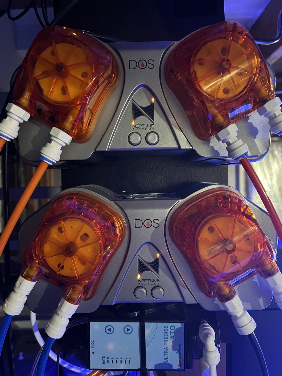 New York - Dosing - Dry Goods - 2X NEPTUNE DOS + EXTRAS! | Reef2Reef
