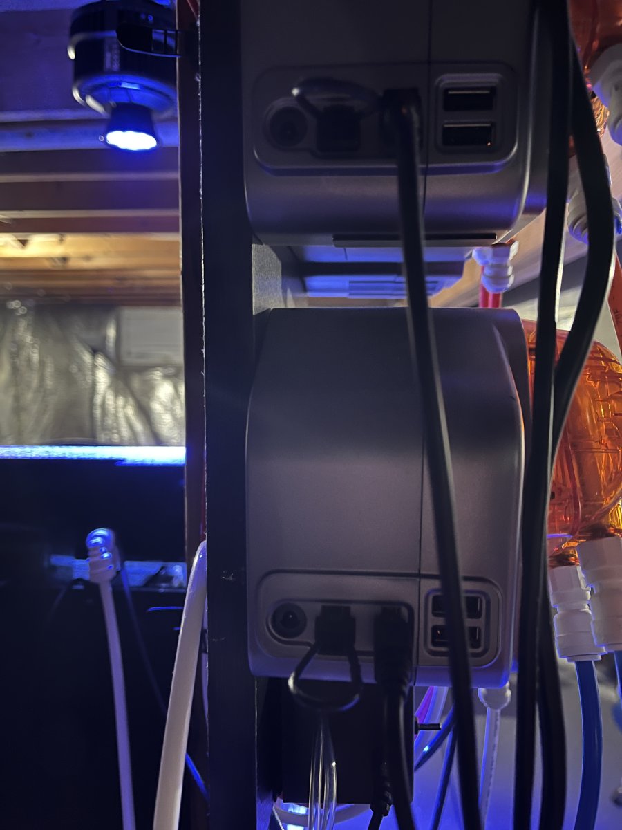 New York - Dosing - Dry Goods - 2X NEPTUNE DOS + EXTRAS! | Reef2Reef