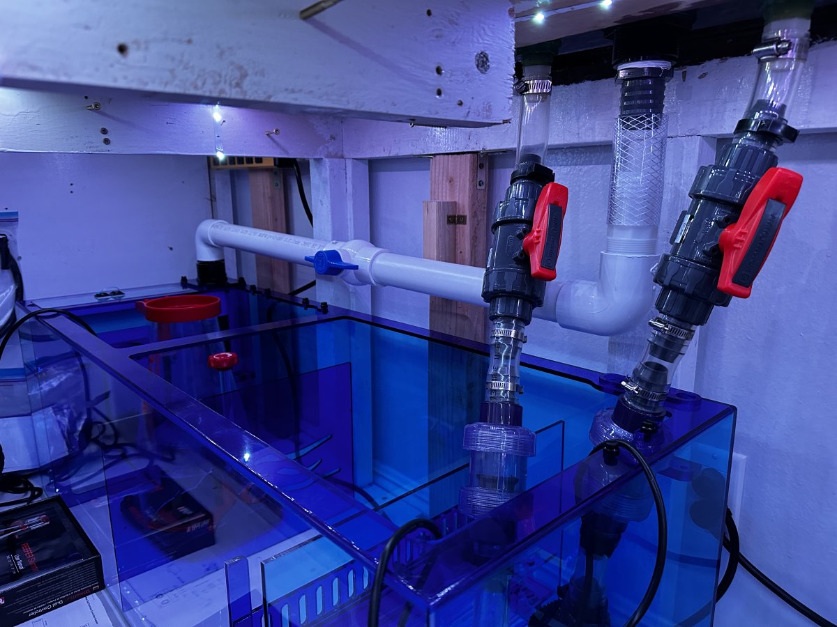 Large Build - Eight foot tank! | Page 2 | Reef2Reef