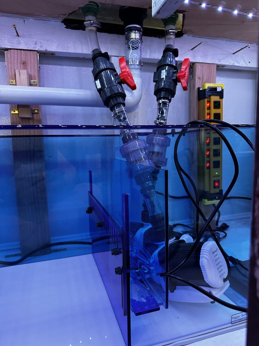 Large Build - Eight foot tank! | Page 2 | Reef2Reef