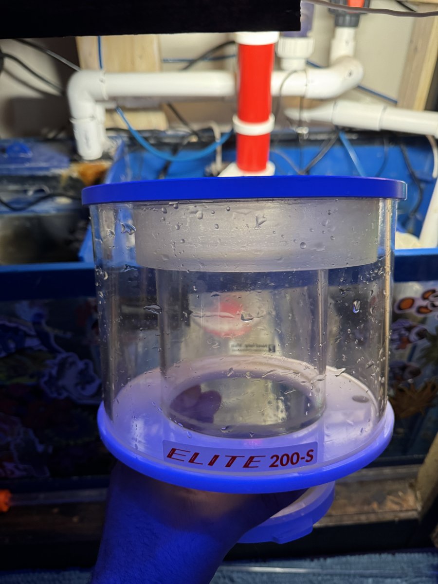 Skimmers - Dry Goods - Reef Octopus Elite 200SSS DC Protein Skimmer ...