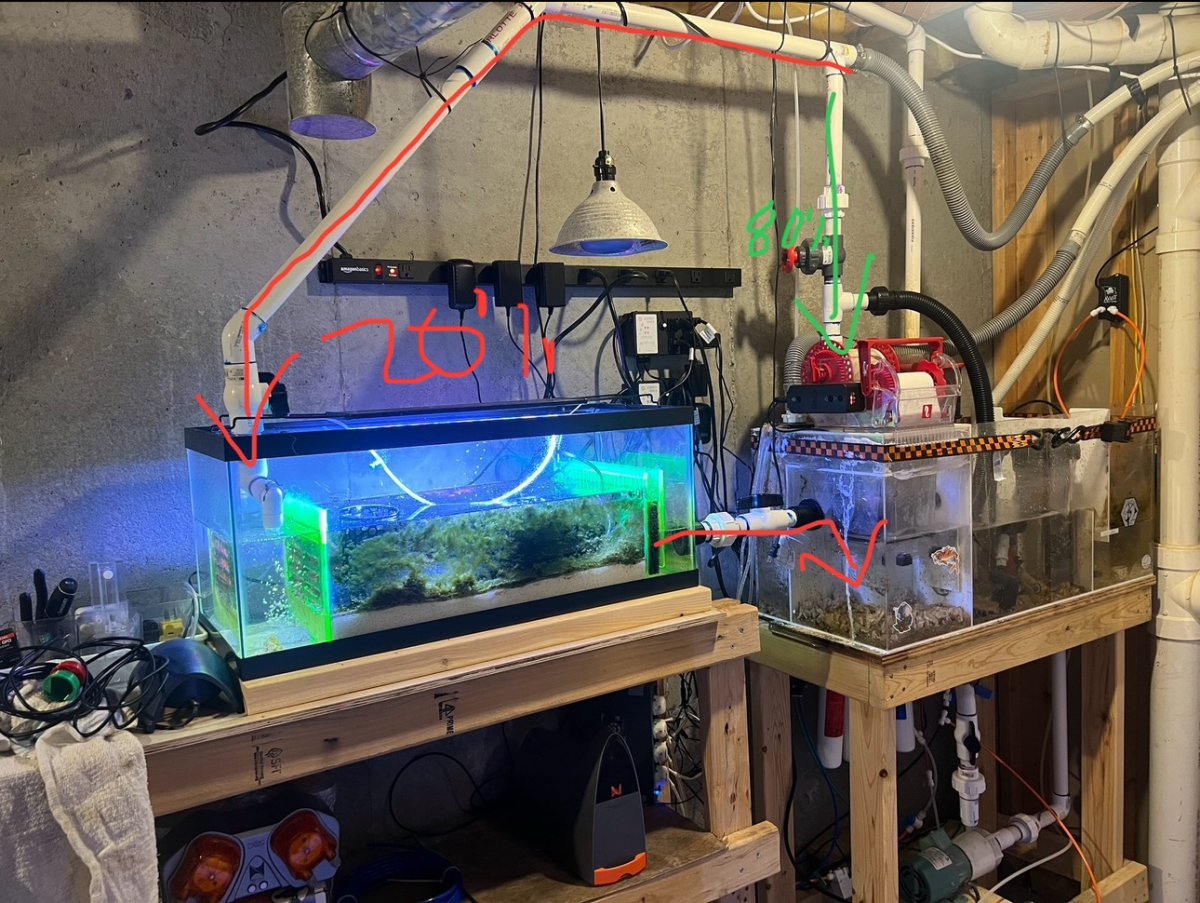 What does your reef tank filtration look like? | Reef2Reef
