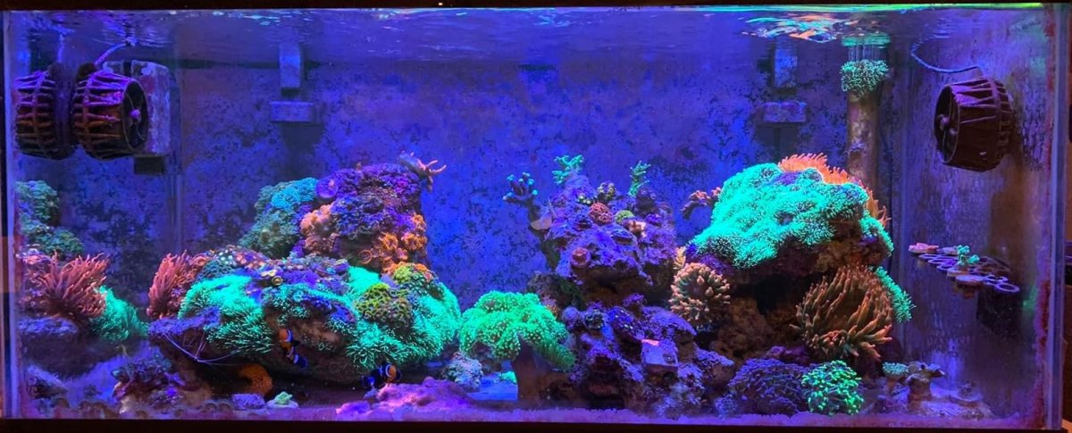 Build Thread - Apex Neptune Themed/Planet Crystalline Build! | Page 8 ...