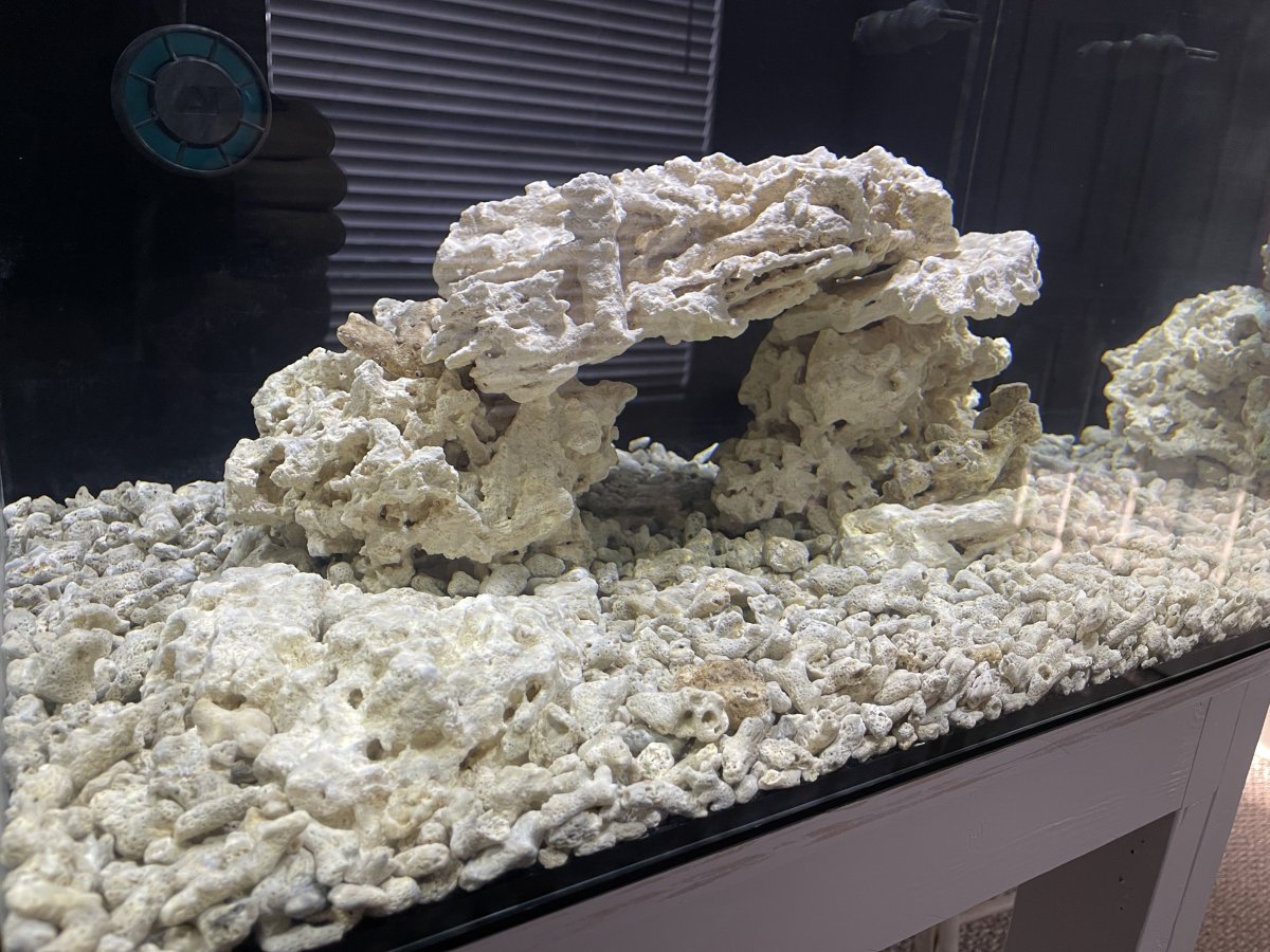 AIO Build - 38g Icecap aio…. 1.5 years in the making | Reef2Reef