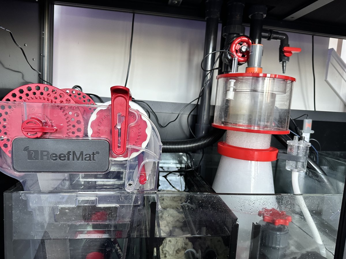Build Thread - Max’s INFINIA Reef 150.4 Build | Page 2 | Reef2Reef