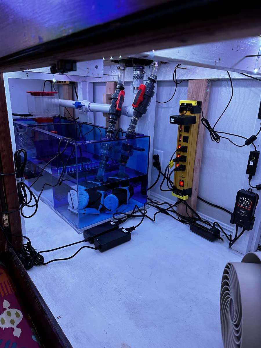 Large Build - Eight foot tank! | Page 2 | Reef2Reef