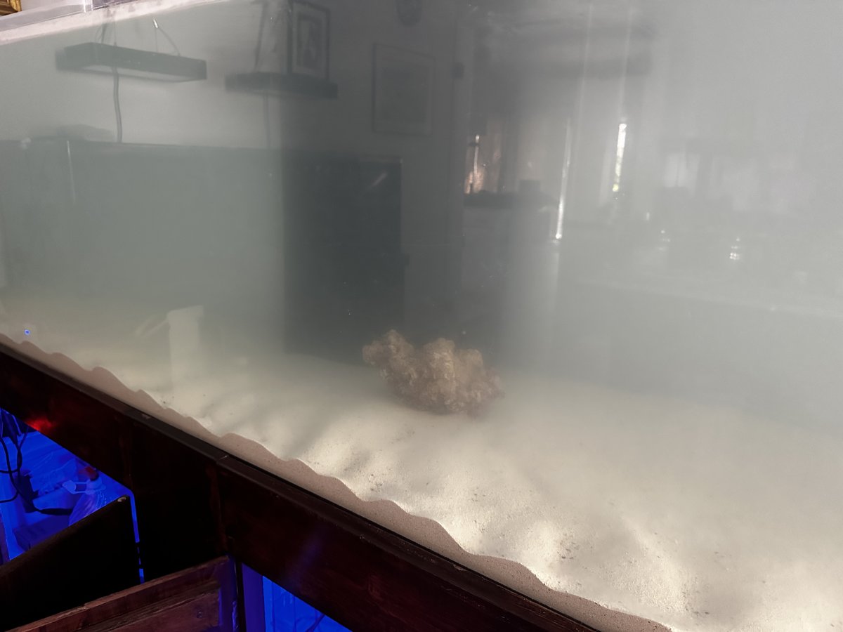 Large Build - Eight foot tank! | Page 2 | Reef2Reef