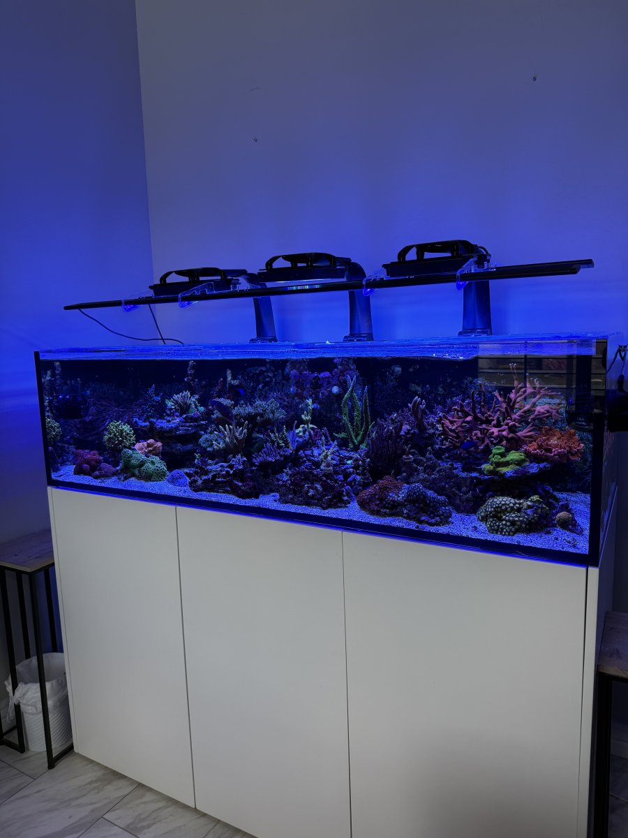 Radion 60 inch light rail question | Reef2Reef