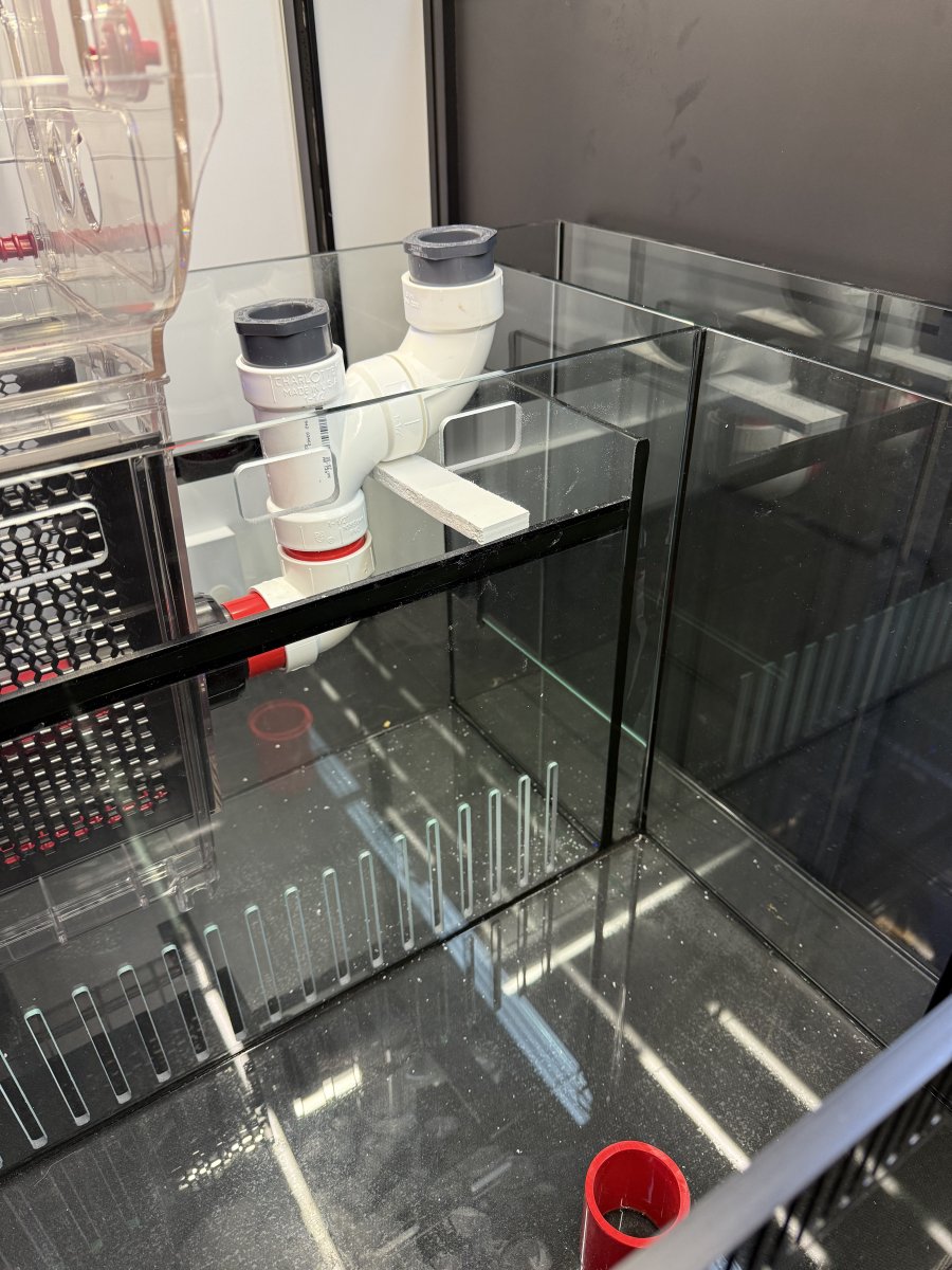 Large Build - Luis’ Waterbox LX 330.7 | Page 2 | Reef2Reef