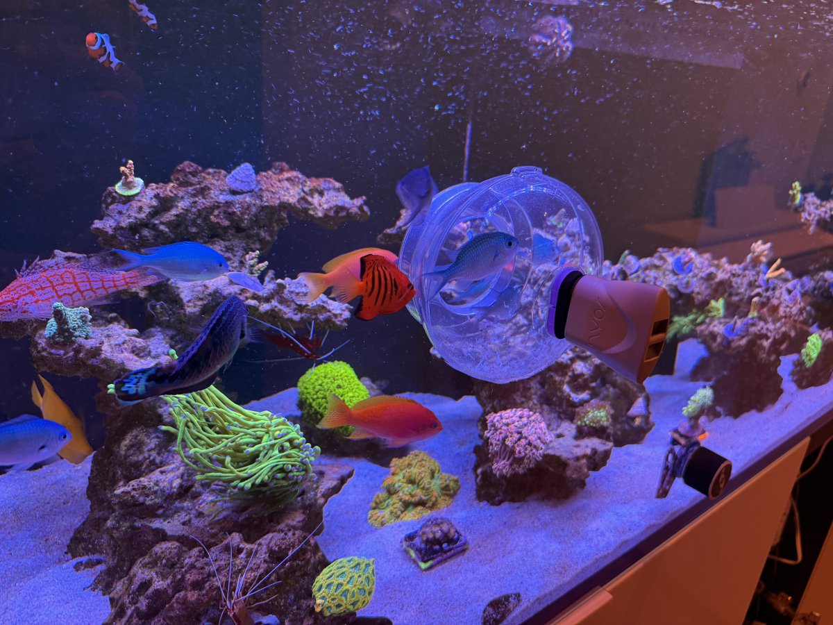 Nyos Fish Trap - It Can Work | Reef2Reef