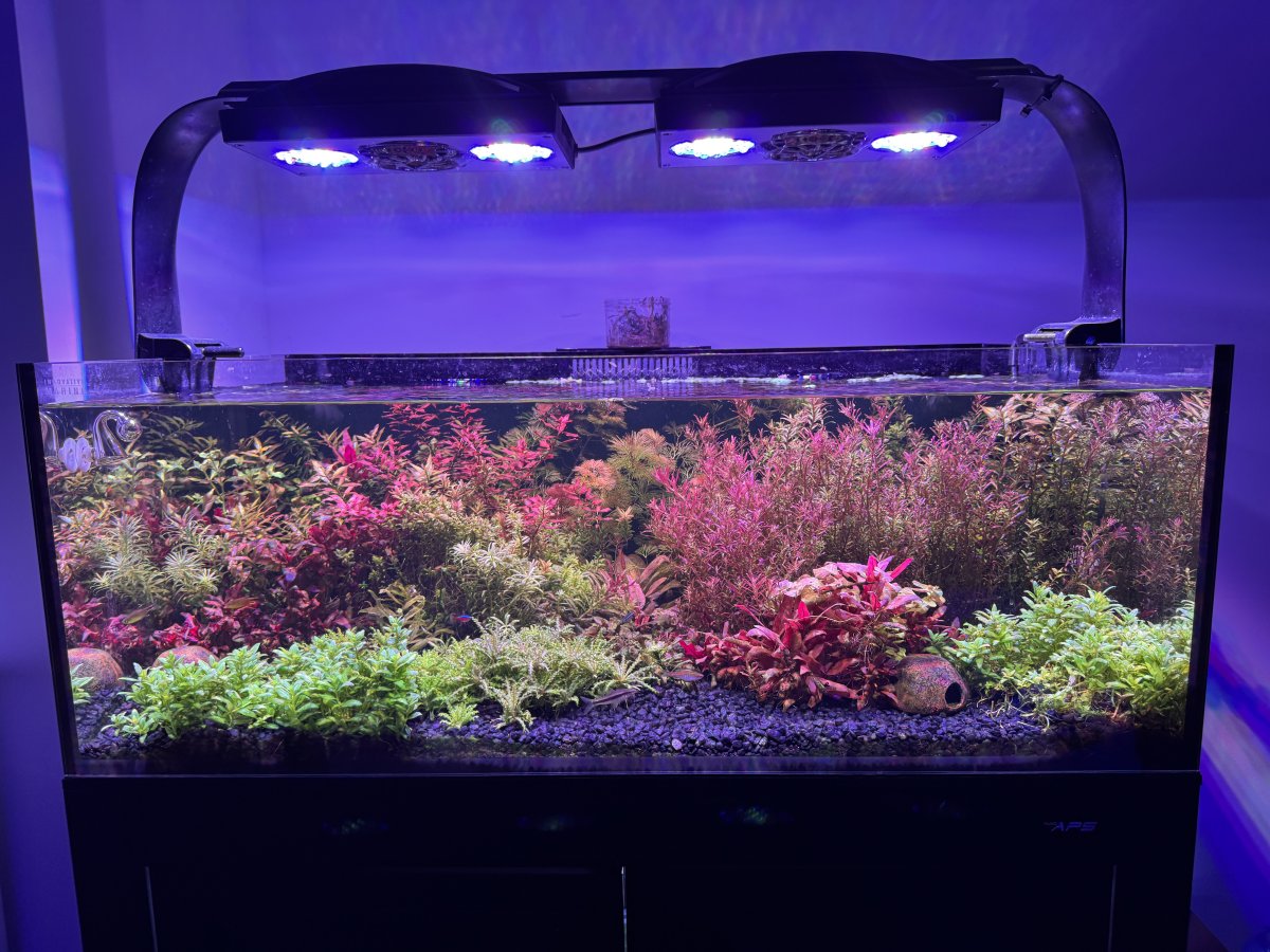 Build Thread - 'Tis An Innovative Marine 50 Lagoon Build | Page 6 ...