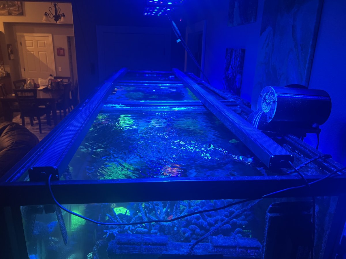 Attn: Planet aquarium mega matrix exterior overflow owners.. question ...