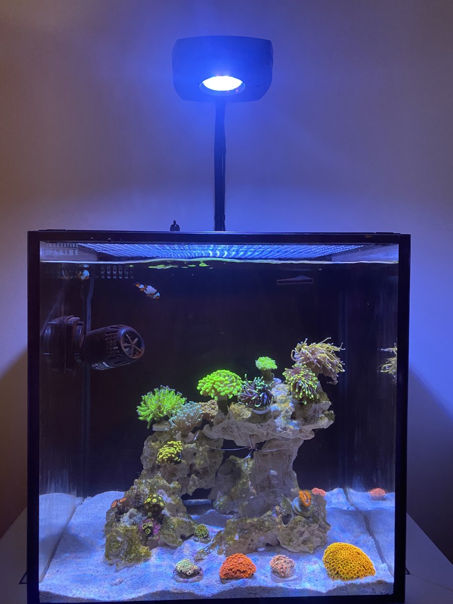 Nano Build - Innovative Marine 15G Journey | Reef2Reef