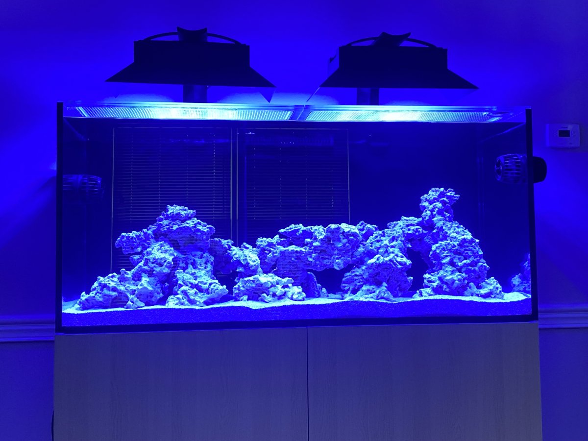 Need help deciding on whether or not a fish is right for your tank ...