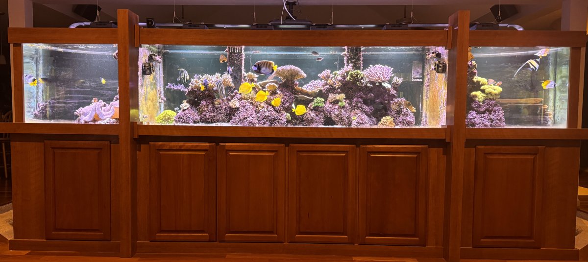 Show Off Your Custom Wood Canopies and Stands | Page 22 | Reef2Reef