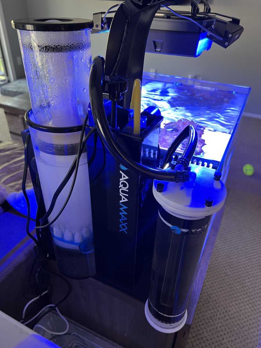 AIO Build - Jackson's SPS 25 Waterbox Peninsula | Reef2Reef