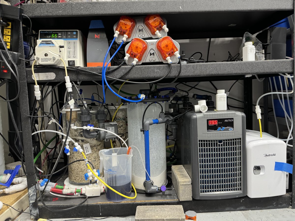 Idea for dosing refrigerated AB+ | Reef2Reef