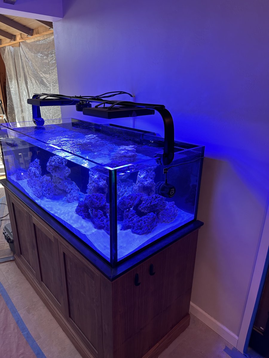 Large Build - My new tank, Reef Savvy 180 and Benner stand | Reef2Reef