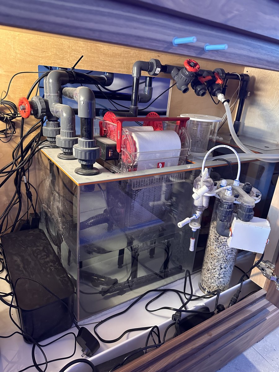 Large Build - My new tank, Reef Savvy 180 and Benner stand | Reef2Reef
