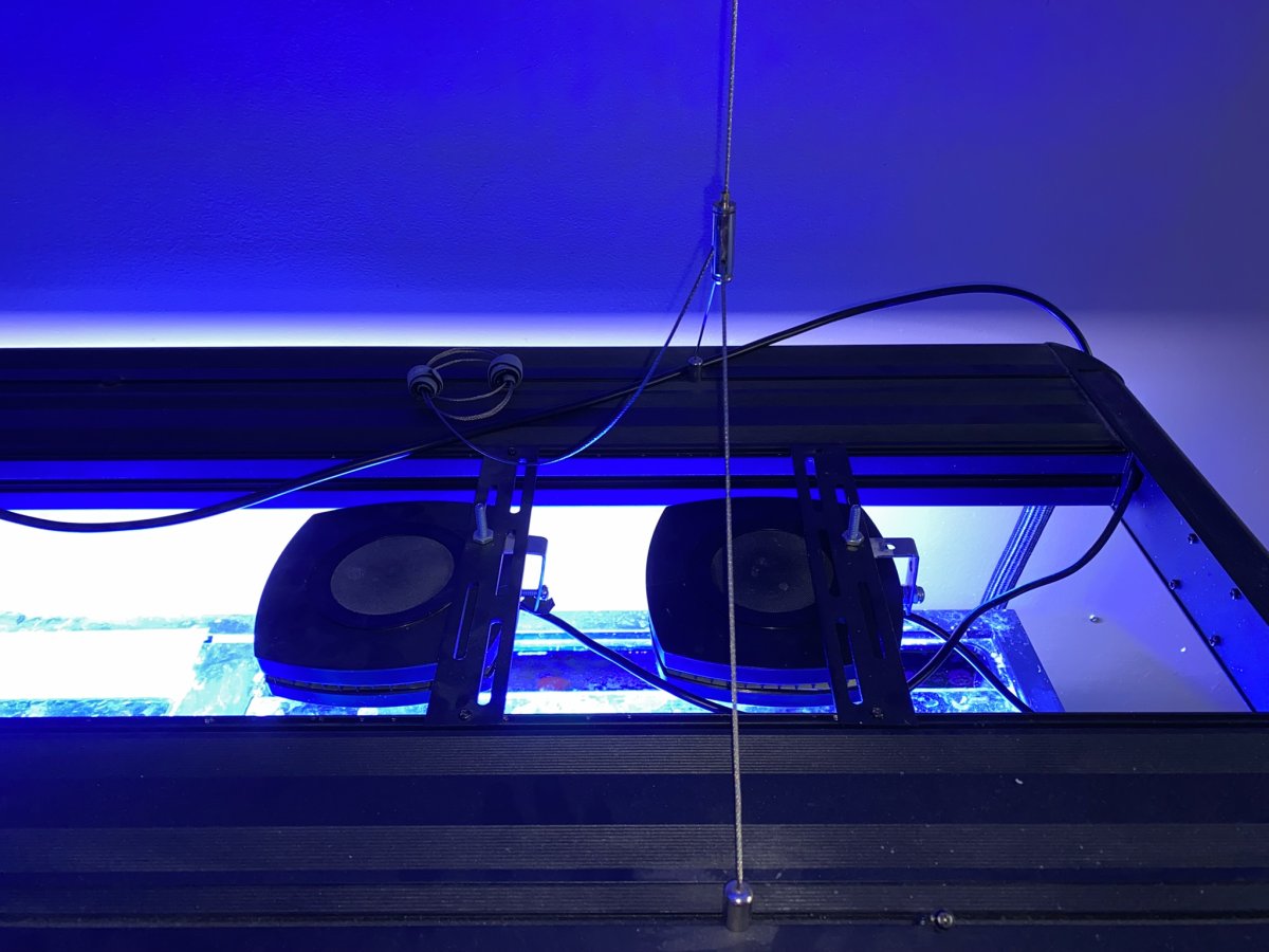 Best T5 Fixture for Fiji Cube 38 Gallon Peninsula? | Reef2Reef