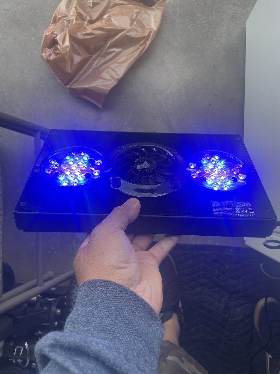 California - Lighting - LED - Dry Goods - Atlantik V4 (GEN 2) LED Light ...
