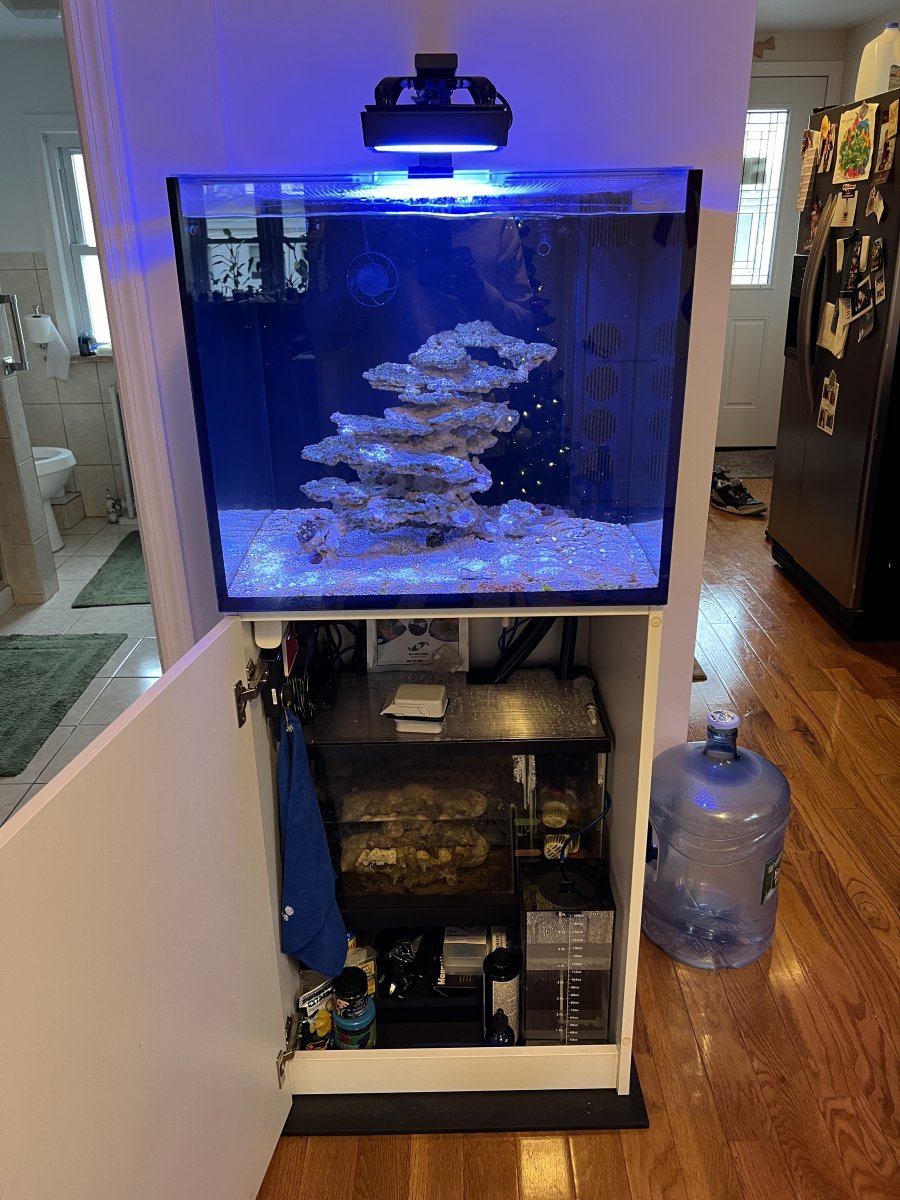 New Jersey - Elos Midi Tank Teardown | Reef2Reef