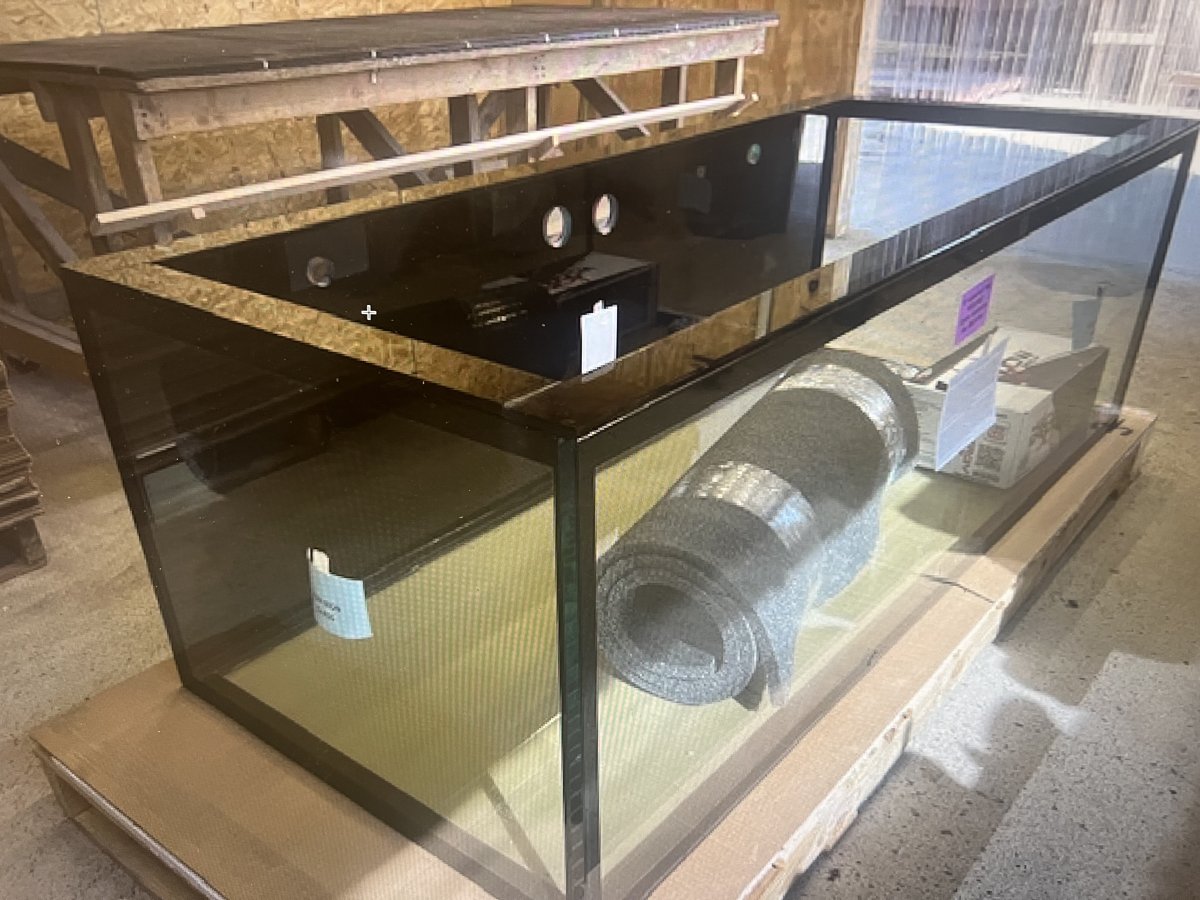 Large Build - Glass Cages 225g Soro Reef | Reef2Reef
