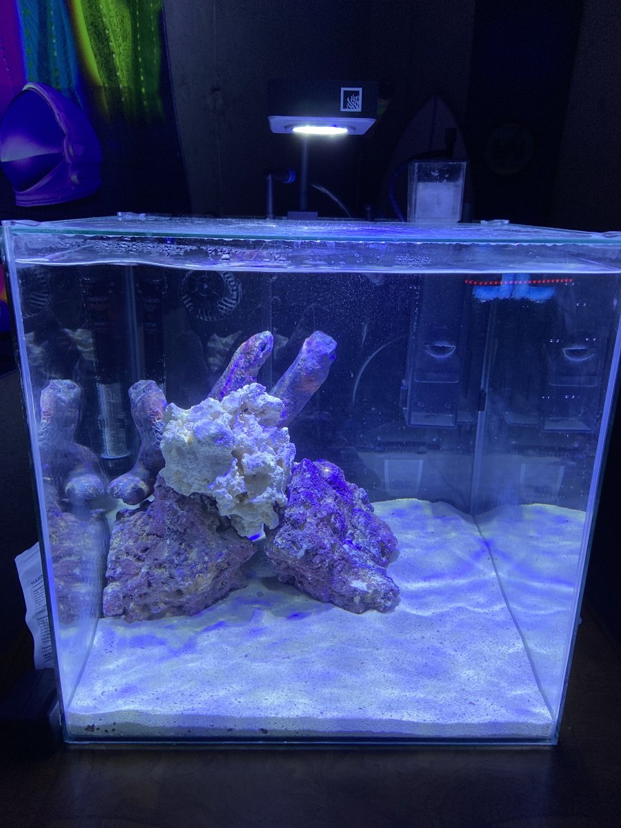 New 15G cube | Reef2Reef