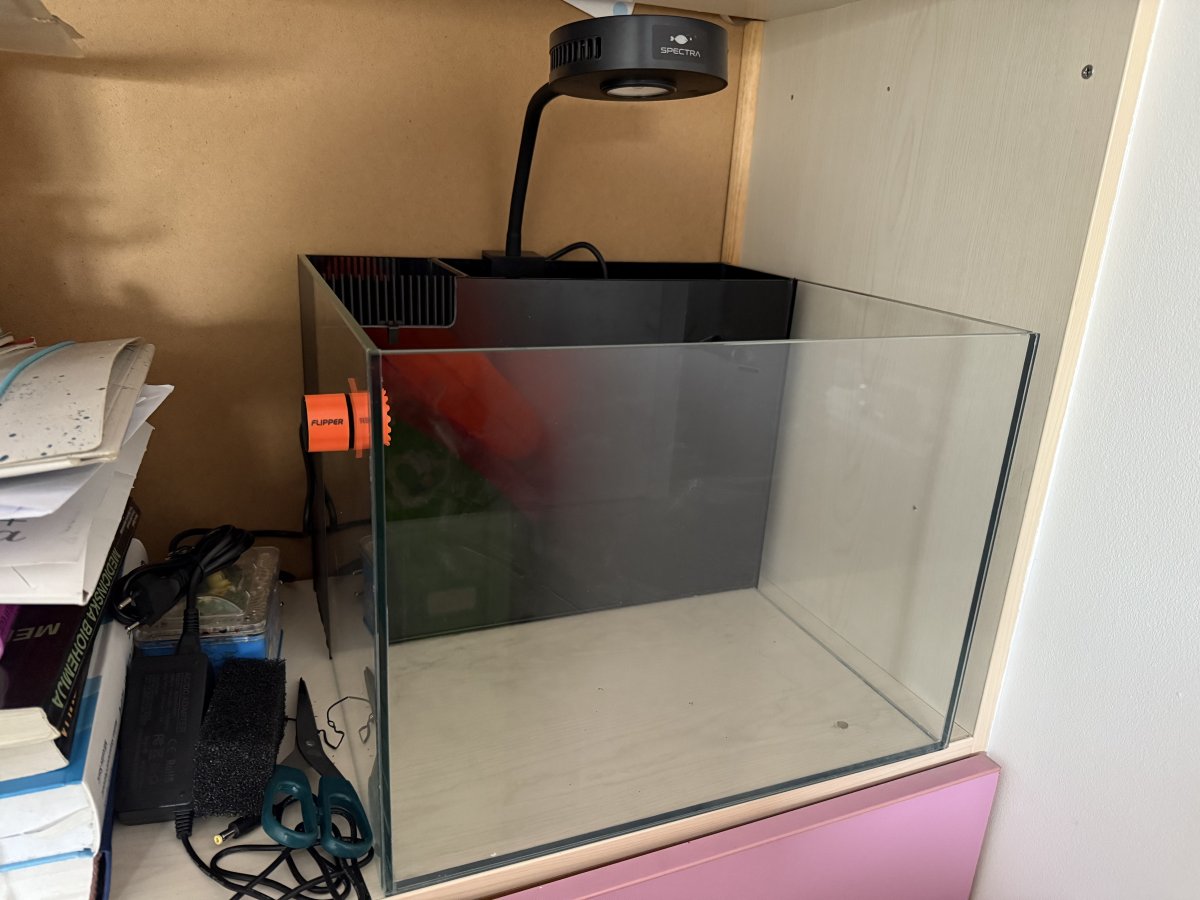 Review my pico tank design | Reef2Reef