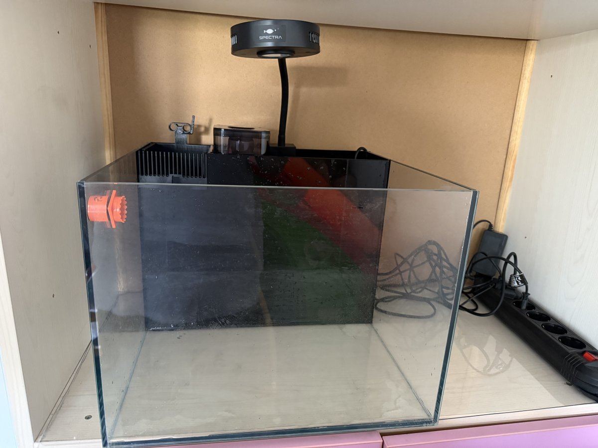 Review my pico tank design | Reef2Reef